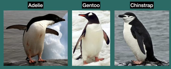 Practice Set: Regression | Applied Statistical Analysis with R